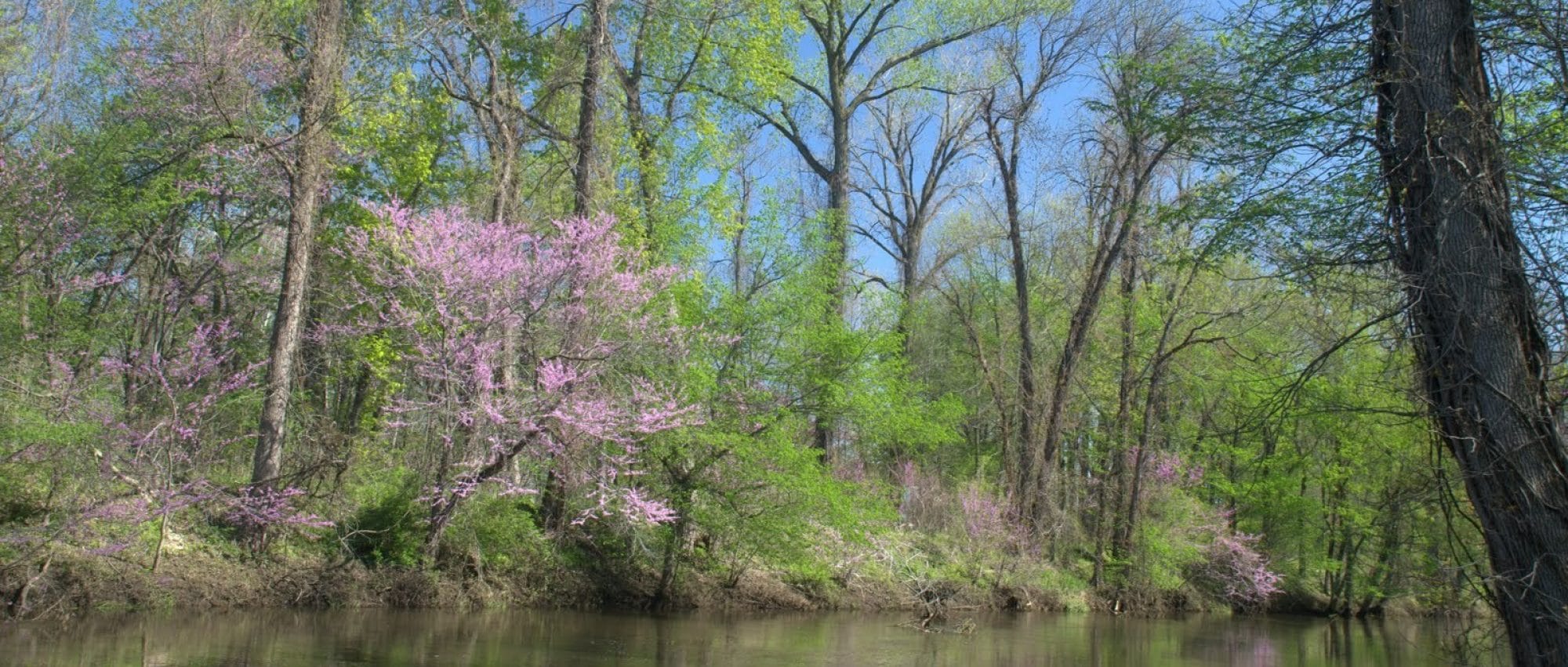 Starke County Indiana – Starke County Indiana